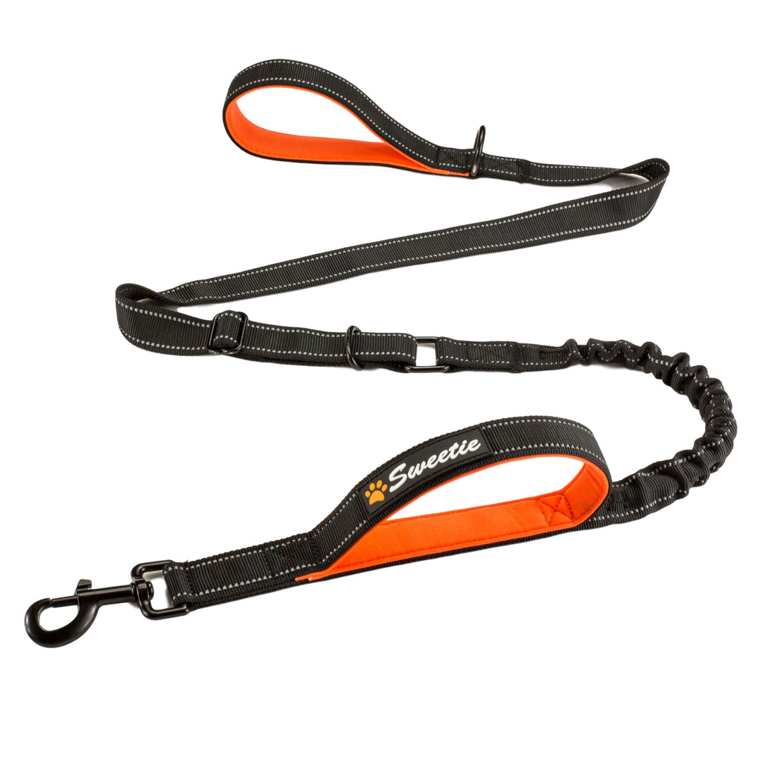 Sweetie Adjustable Bungee Lead